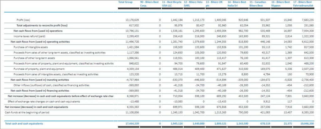 Cash Flow Legal Entity Breakdown Report