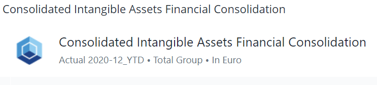Consolidated Intangible Assets Report (Part of Consolidated Balance Sheet)