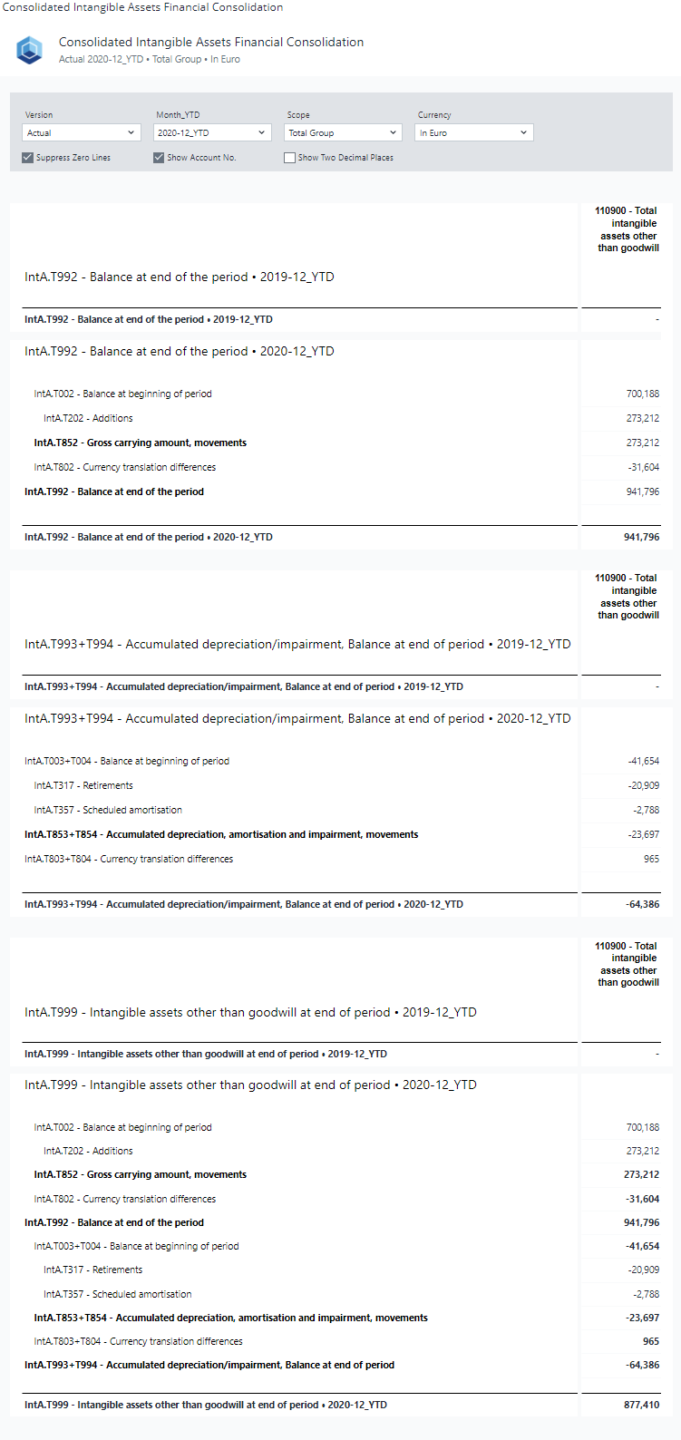 Consolidated Intangible Assets Report (Part of Consolidated Balance Sheet)