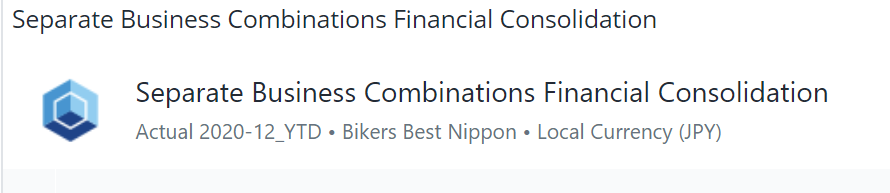 Separate Business Combinations Report (Part of Separate Balance Sheet)