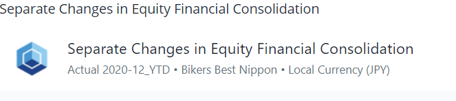 Separate Changes in Equity Report (Part of Separate Balance Sheet)