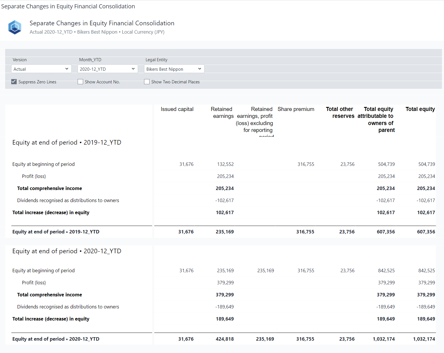 Separate Changes in Equity Report (Part of Separate Balance Sheet)