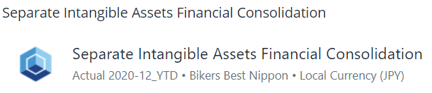 Separate Intangible Assets Report (Part of Separate Balance Sheet)