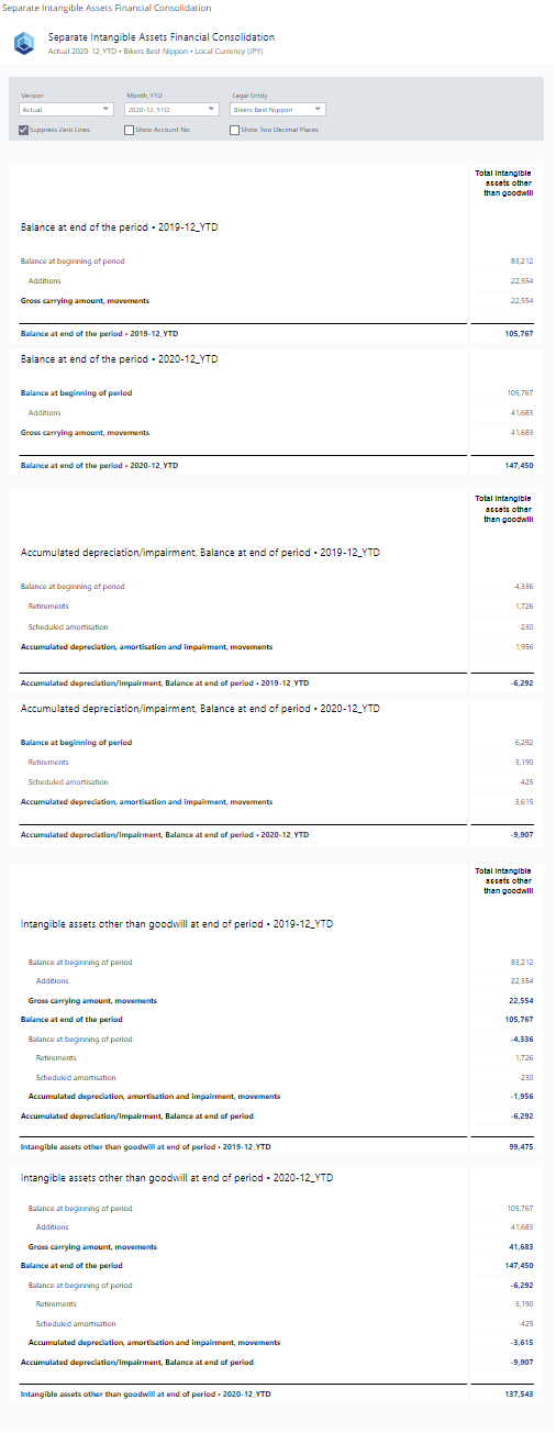 Separate Intangible Assets Report (Part of Separate Balance Sheet)